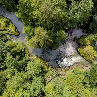 Amt für Wald und Wild